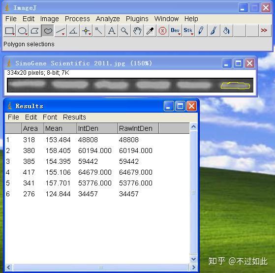 如何用ImageJ进行WB定量？ - 知乎
