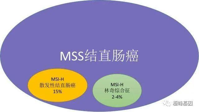 DNA 14. SCI 文章肿瘤微卫星不稳定性计算方法（MSI） - 知乎