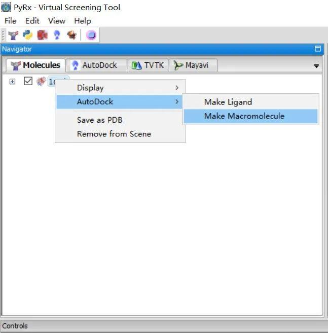采用PyRx-Vina, DS和PyMol进行对接和分析结果 - 知乎