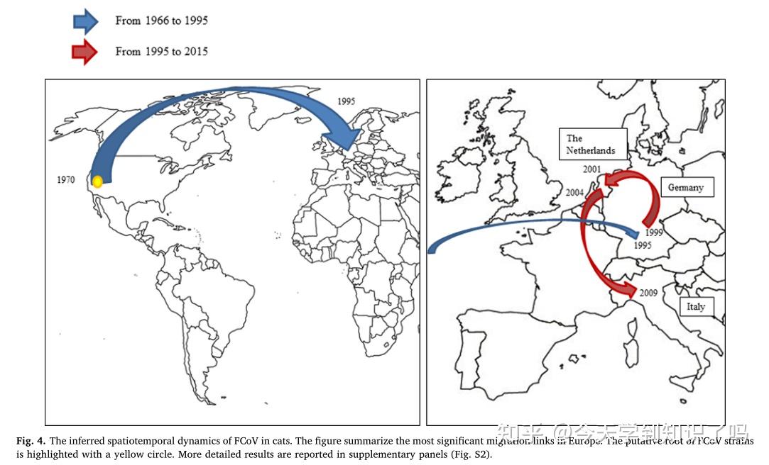 发现的第一篇关于FCoV的tMRCA和Evolution rate的研究：意大利北部家猫I型猫冠状病毒的起源和传播：系统地理研究（精读） - 知乎
