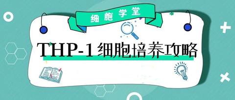 实战分享 | 悬浮细胞THP-1培养经验 - 知乎
