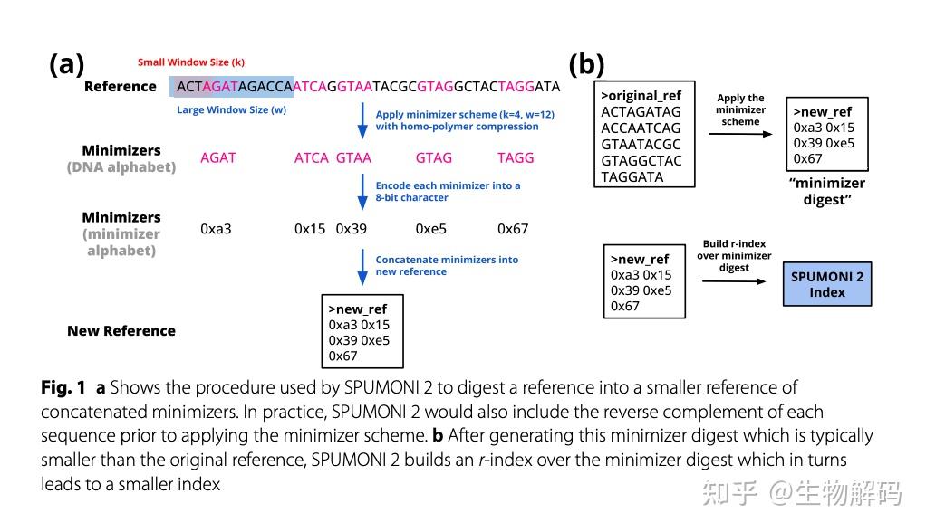 每日文摘 | 2023年05月22日 - 知乎