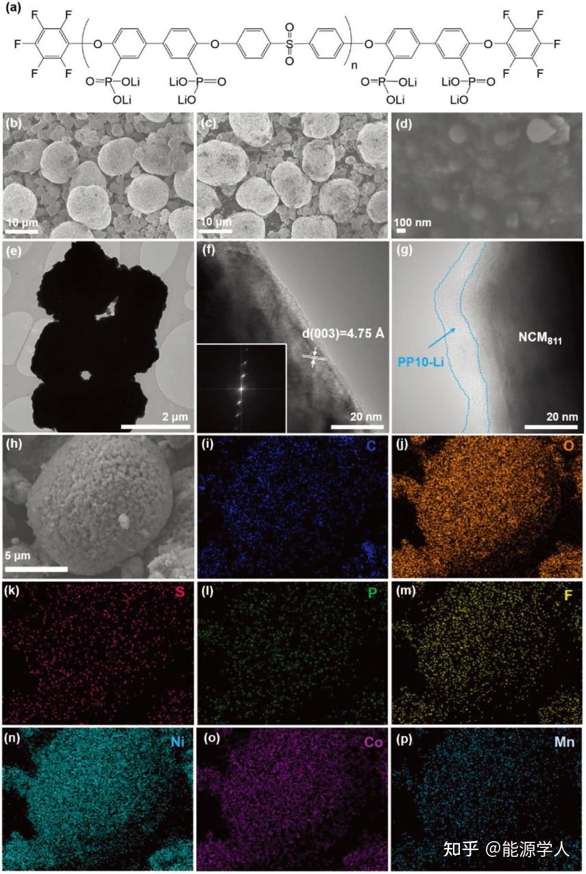 AFM：膦酸锂官能化聚合物涂层包覆NCM811提高其电化学性能 - 知乎