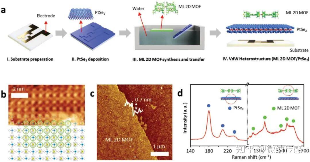 韩国科学技术院最新《AFM》：单层MOF作为过滤层调控PtSe2气体传感器的选择性 - 知乎