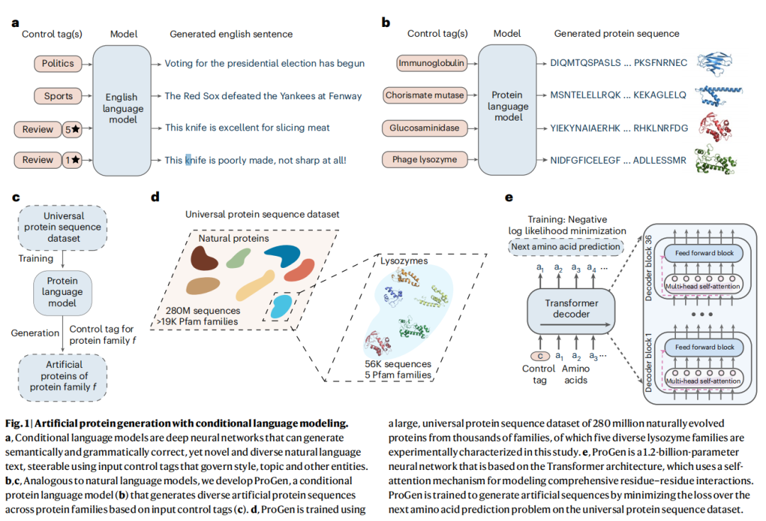 Nat. Biotechnol. | Progen：大型语言模型产生跨不同家族的功能性蛋白质序列 - 知乎