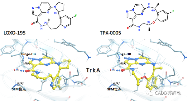 大环分子 -- LOXO-195 & TPX-0005 - 知乎