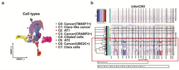 Vernacular｜InferCNV 帮你从单细胞数据中挑出“害群之马”--肿瘤细胞 - 知乎