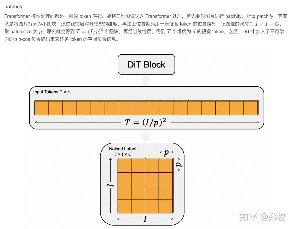 学习路径 - 知乎