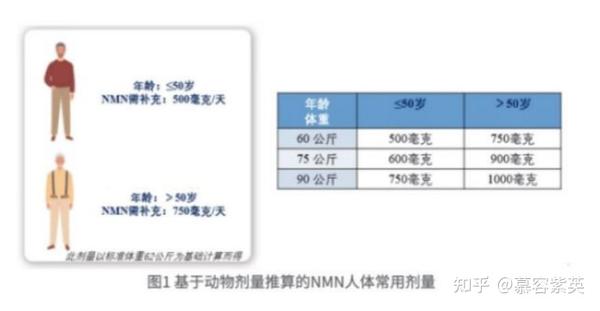nmn的服用量，nmn最佳服用量，尽早了解！ - 知乎