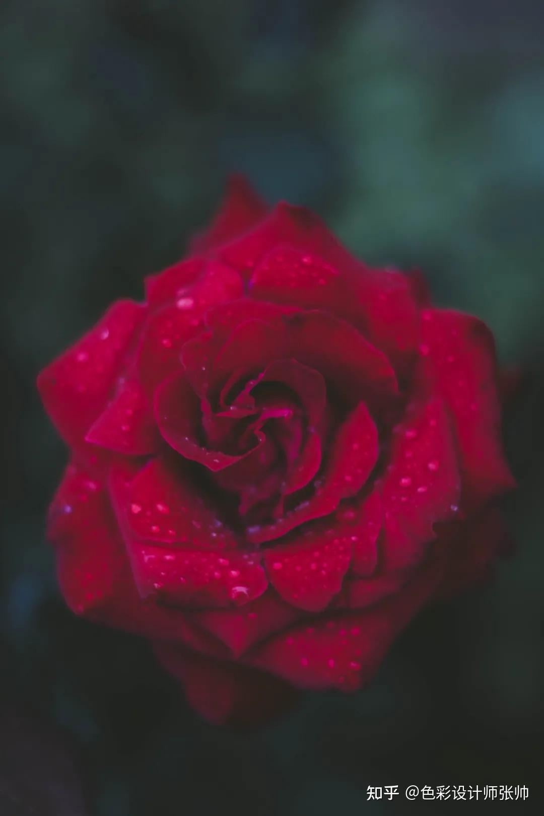 冷色&暖色，傻傻分不清楚？教你如何通过冷暖色调进行颜色分类和应用？ - 知乎