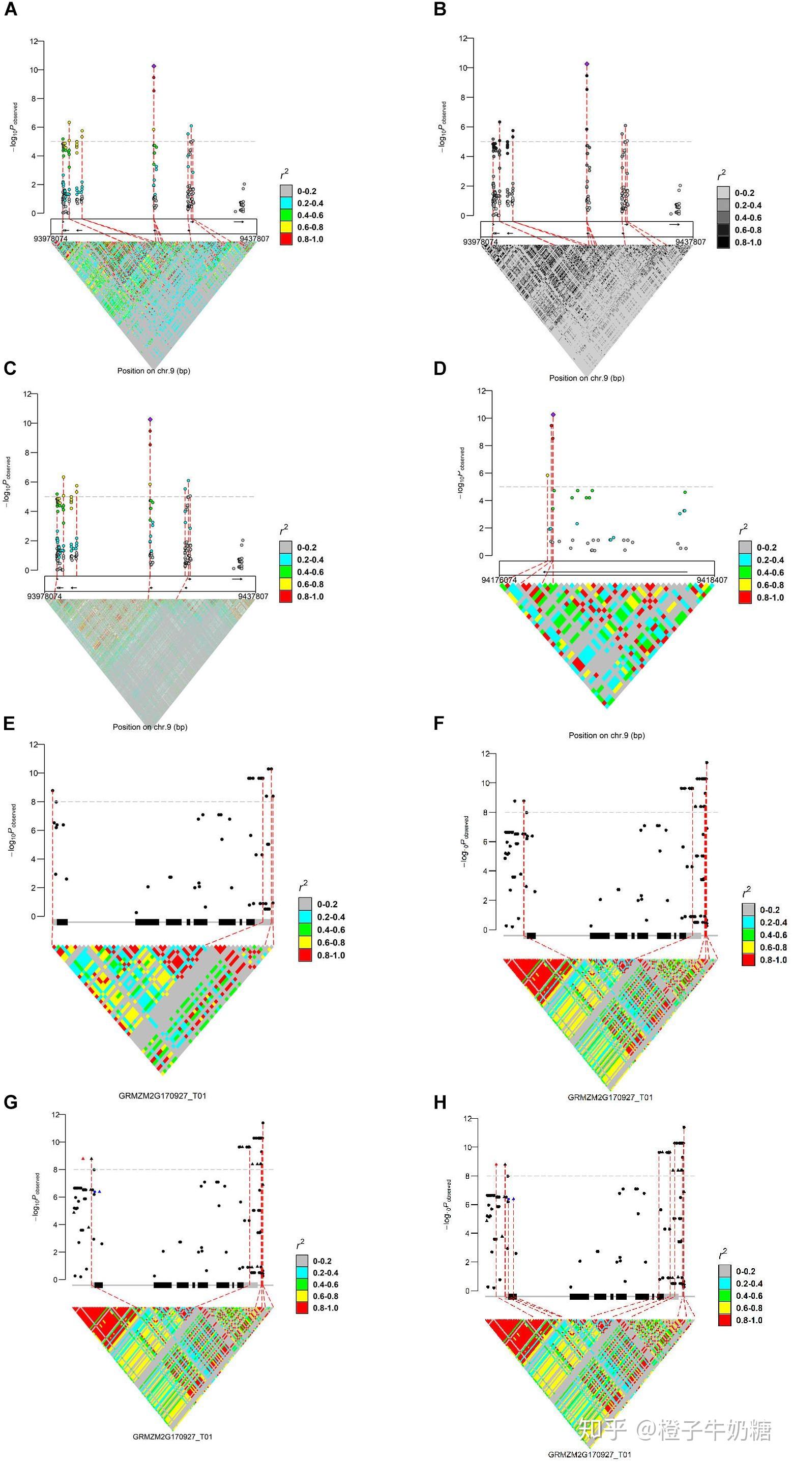 一个R包(IntAssoPlot)，LocusZoom图、连锁不平衡图和基因结构图一步到位 - 知乎