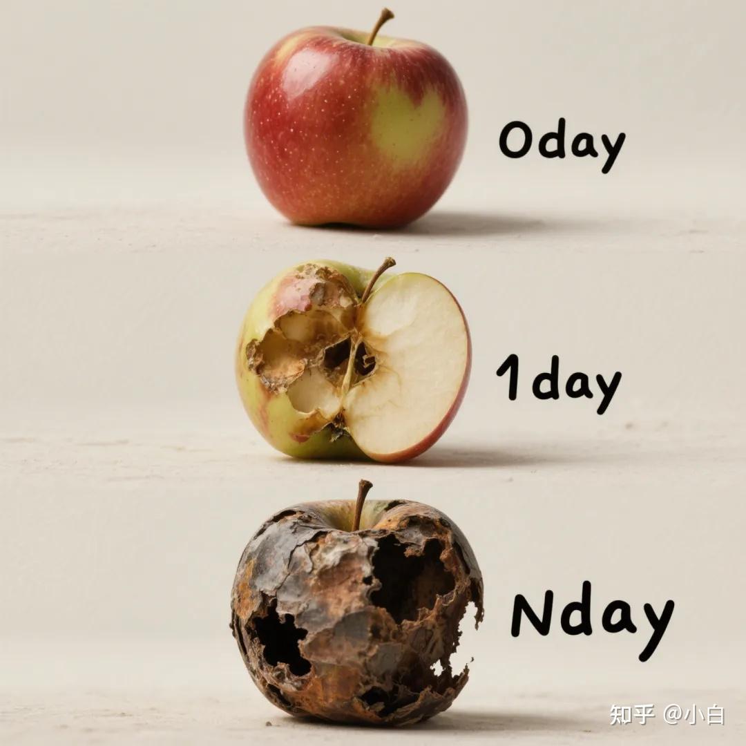 一文读懂 0day、1day、nday、CVE、CNVD等漏洞世界的“暗语” - 知乎