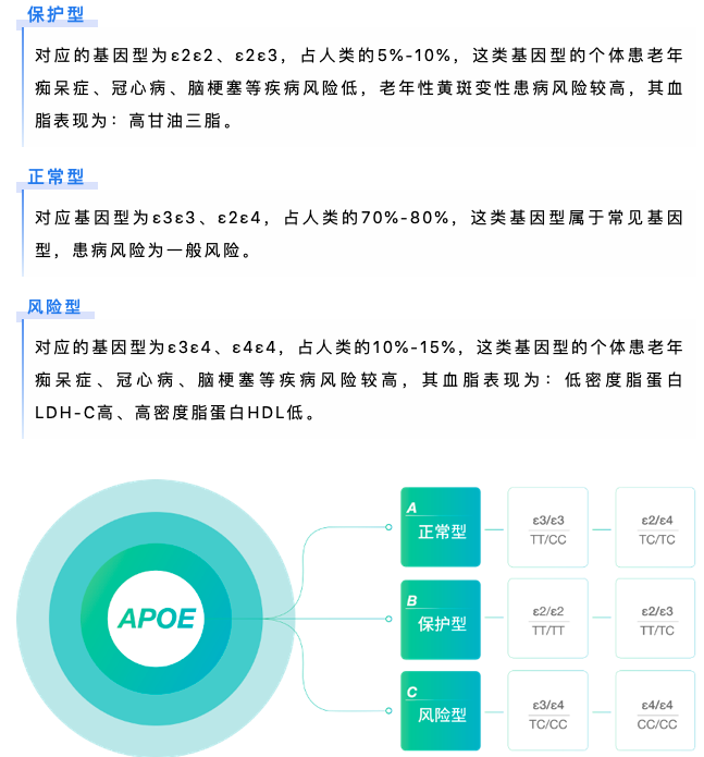 小基因 大健康 | ApoE基因检测，为您的健康保驾护航 - 知乎