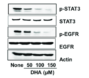 WB的无敌战神之路——WB的内参选择 - 知乎