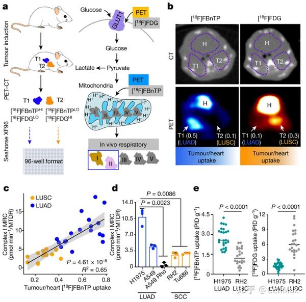 2023年1~3月Nature期刊精华汇总 - 知乎