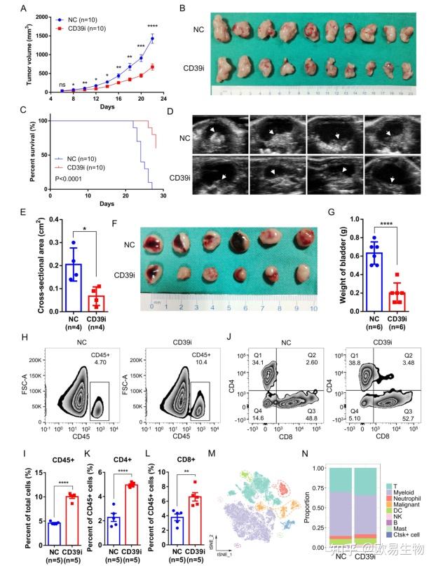 单细胞转录组测序解析抑制剂介导膀胱癌肿瘤微环境改变的作用机制 - 知乎