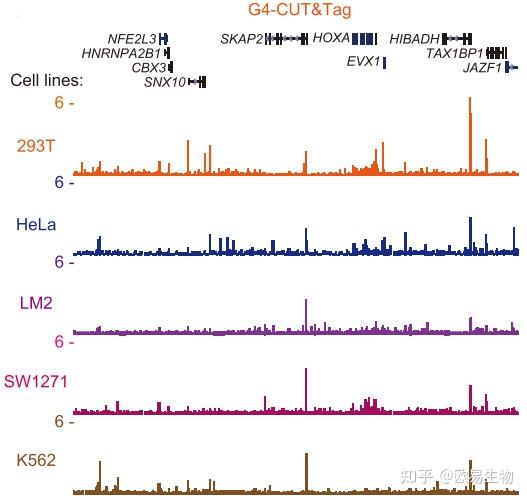 一文带你解锁新技术—CUT&Tag技术 - 知乎