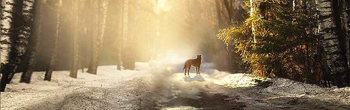 英语语法（110）still 表示让步的用法 - 知乎