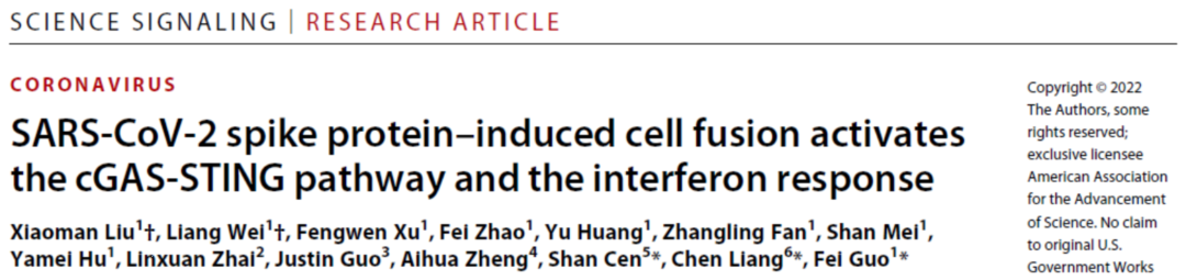 Sci Signaling︱郭斐/梁臣/岑山团队合作发现SARS-CoV-2诱导的细胞-细胞融合激活cGAS-STING通路 - 知乎