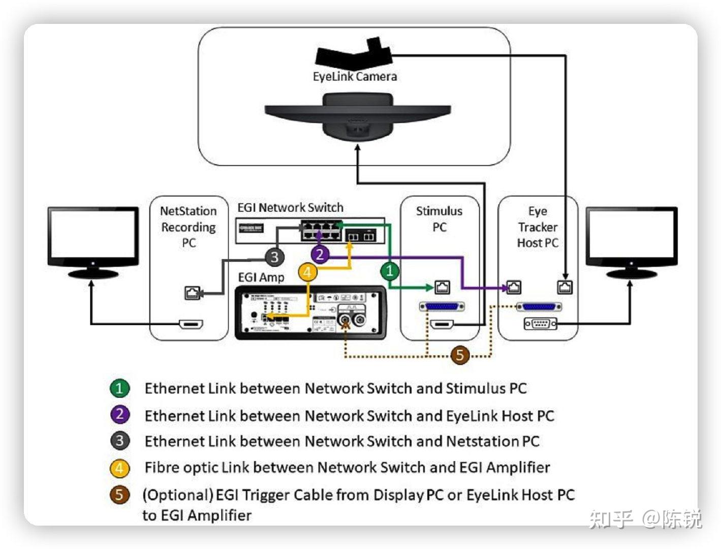 EyeLink眼动仪与EGI脑电联合使用方法 - 知乎