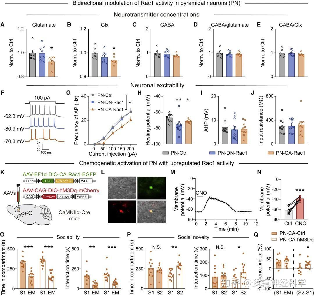 Cell Rep︱李斐/李伟广/张孝勇/梅兵团队合作提出基于突触细胞生物学特征的自闭症社交障碍分型标准 - 知乎