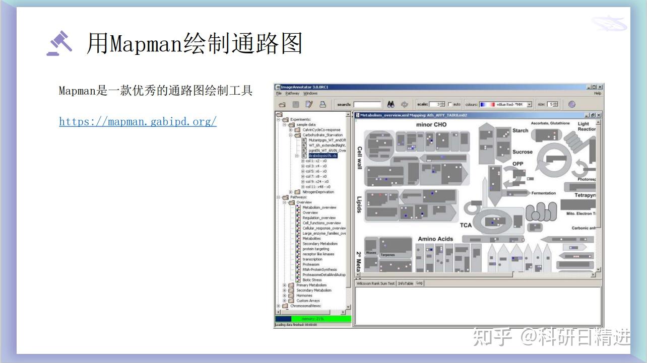 画通路图的神器 - Mapman的使用 - 知乎