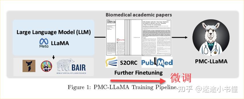 [论文速读]PMC-LLaMa 用医学论文来进一步微调LLaMa - 知乎