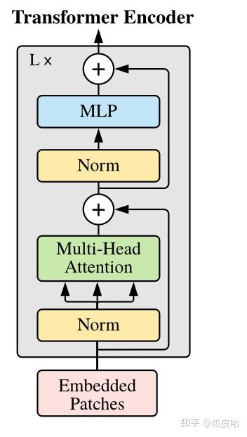 浅谈ViT和SwinT设计理念 - 知乎