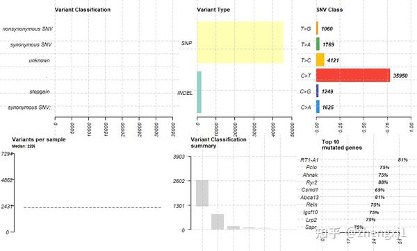 突变处理maf - 知乎