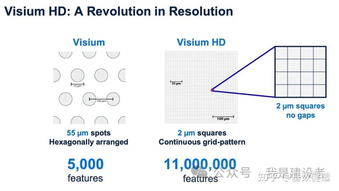 10x Genomics终于推出新的 Visium HD 平台！ - 知乎
