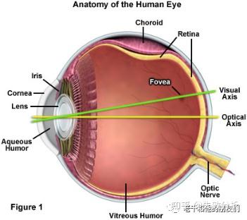 光学显微镜基础及其图像形成原理 - 知乎