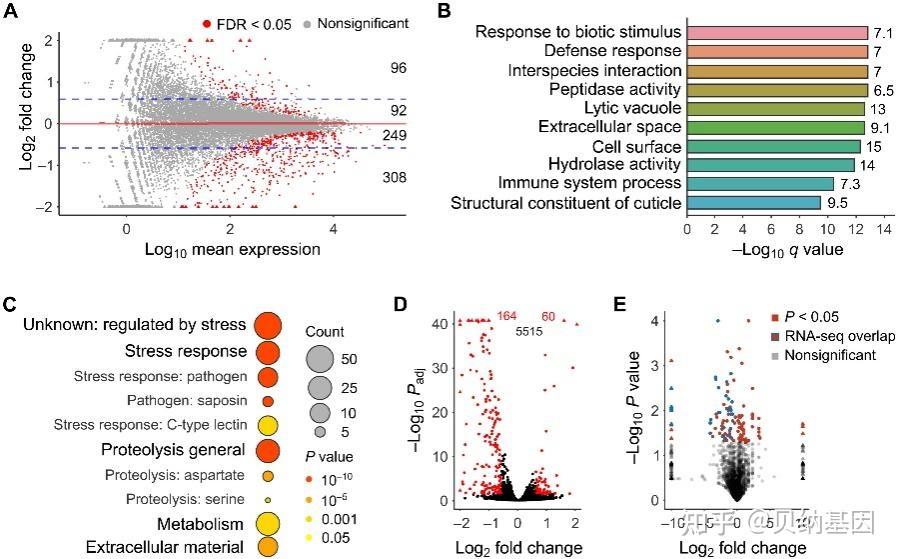 文献解读| Direct RNA测序揭示细胞质非典型Poly(A)聚合酶调节动物的先天免疫反应机制 - 知乎