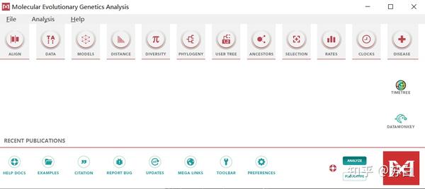 MEGA：安装与序列比对Align - 知乎