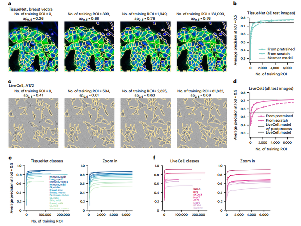 Nat Methods | 训练自己的细胞分析模型：Cellpose 2.0 - 知乎