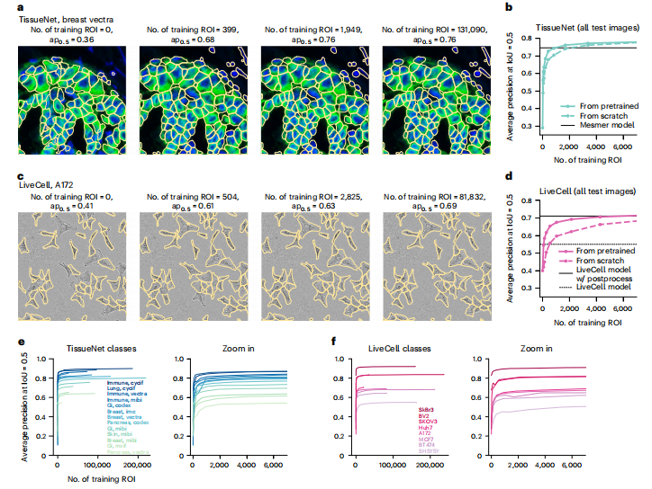 Nat Methods | 训练自己的细胞分析模型：Cellpose 2.0 - 知乎
