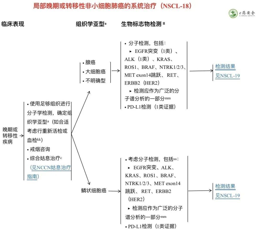 NCCN丨非小细胞肺癌临床实践指南2023.1版①（中文） - 知乎