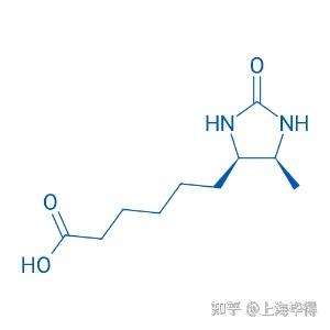 Biotin-linker：化学生物学中的独特应用 - 知乎
