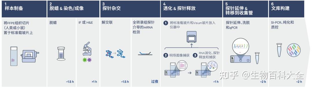 FFPE空间多组学高效解决方案—10× Genomics Visium CytAssist - 知乎