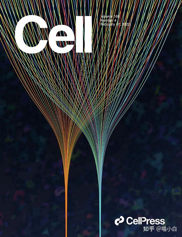 Science&Art Cell2022封面大赏（一），生物学前沿无与伦比的美！ - 知乎