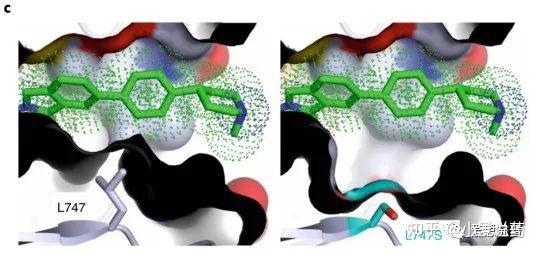 《爱求索》之靶点探索篇——靶向治疗中EGFR靶点分析和研究进展 - 知乎