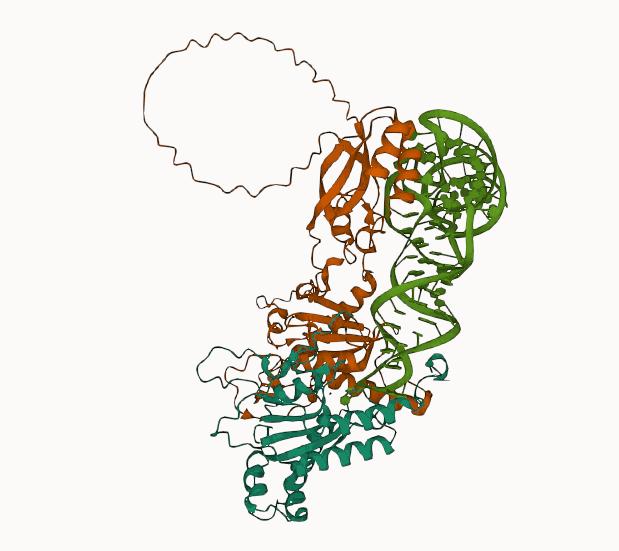 Alphafold 3使用教程分享 - 知乎