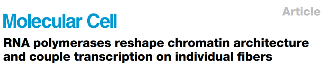 Fiber-seq丨贝瑞基因引领探索Fiber-seq高清图谱重塑动植物多组学研究版图 - 知乎
