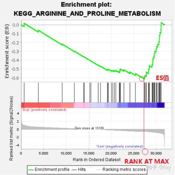 GSEA分析详细步骤 - 知乎
