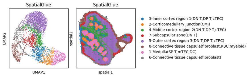 分享一个空间多组学整合算法SpatialGlue - 知乎