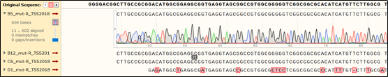 SnapGene教程—常用生物学软件的安装与应用（一） - 知乎
