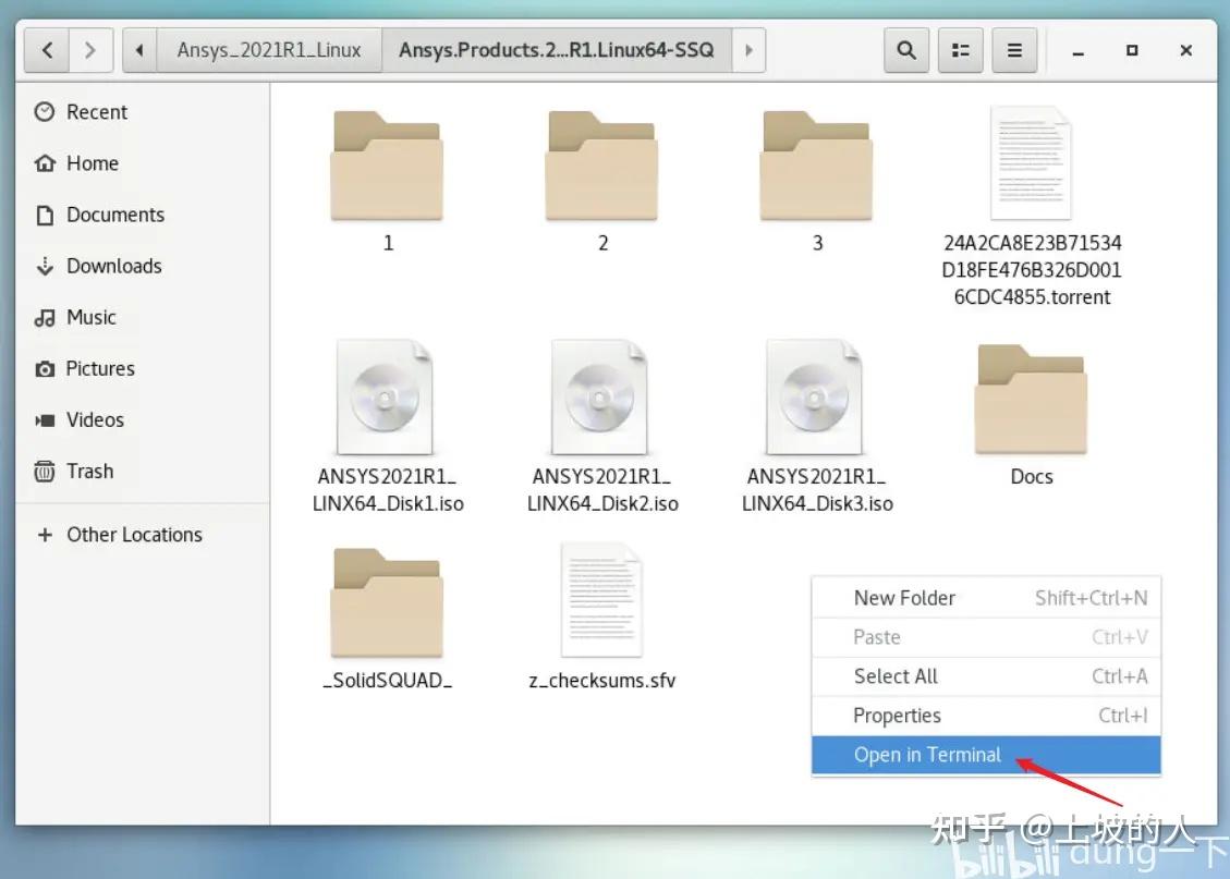 Linux (CentOS 7) 下安装Ansys 2021 R1 教程 - 知乎
