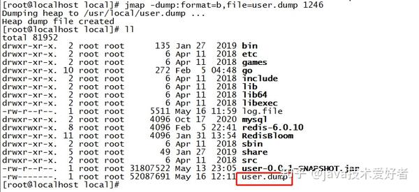如何生成和查看dump文件？ - 知乎
