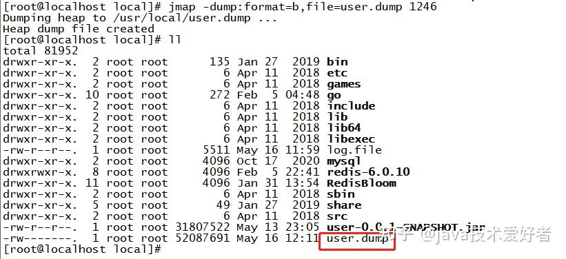 如何生成和查看dump文件？ - 知乎
