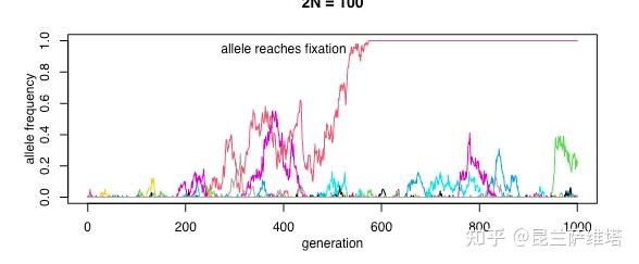 遗传漂变和Wright-Fisher model - 知乎