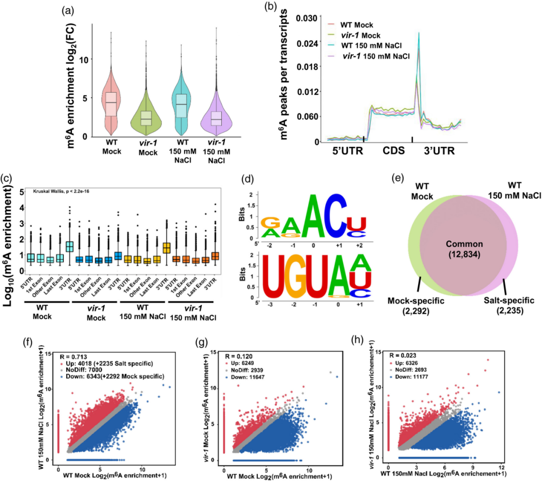 植物的生物和非生物胁迫如何研究？m6A来助力 | 科研热点 - 知乎